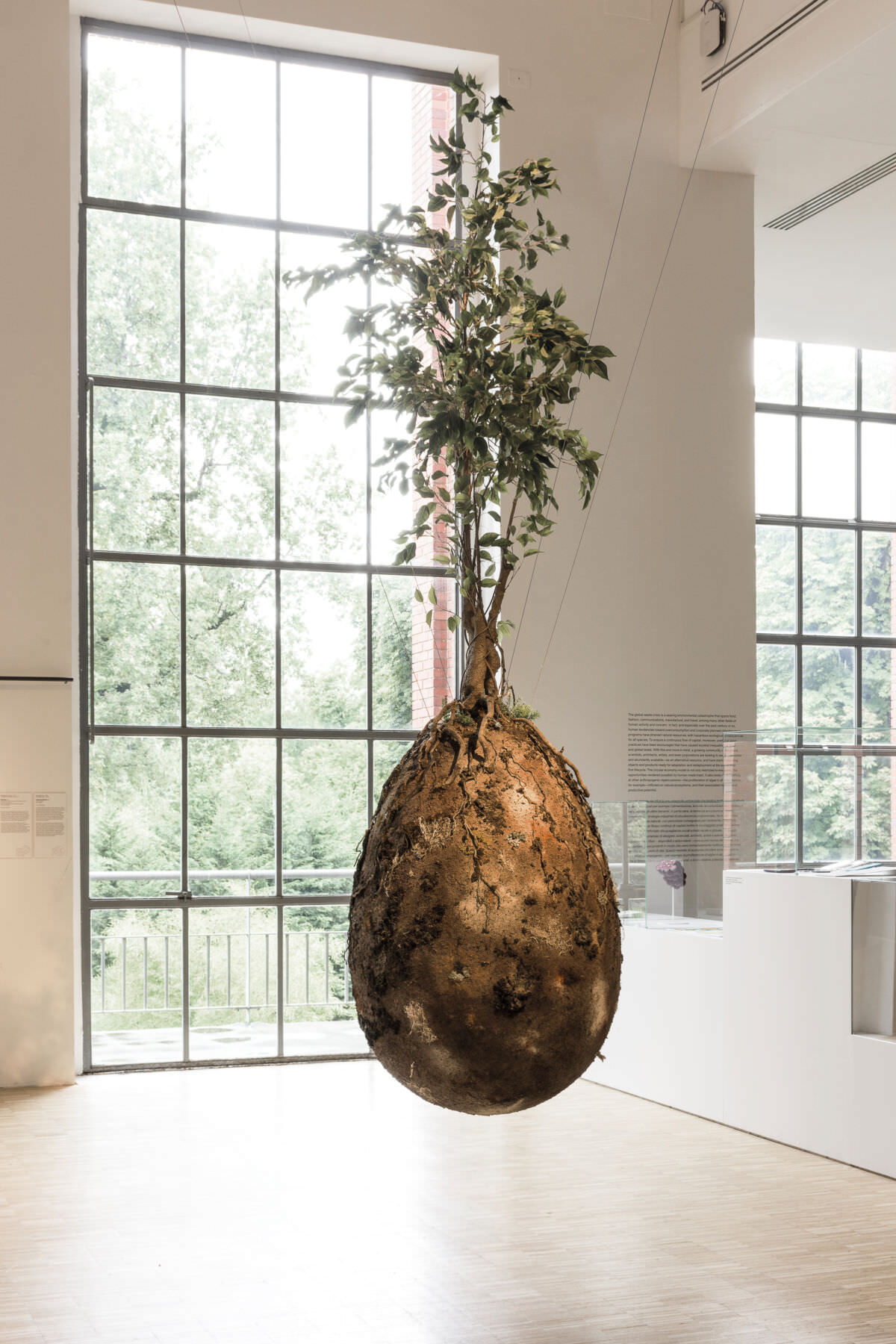 Capsula Mundi / Anna Citelli y Raoul Bretzel – Wideprint » Arquitectura ...